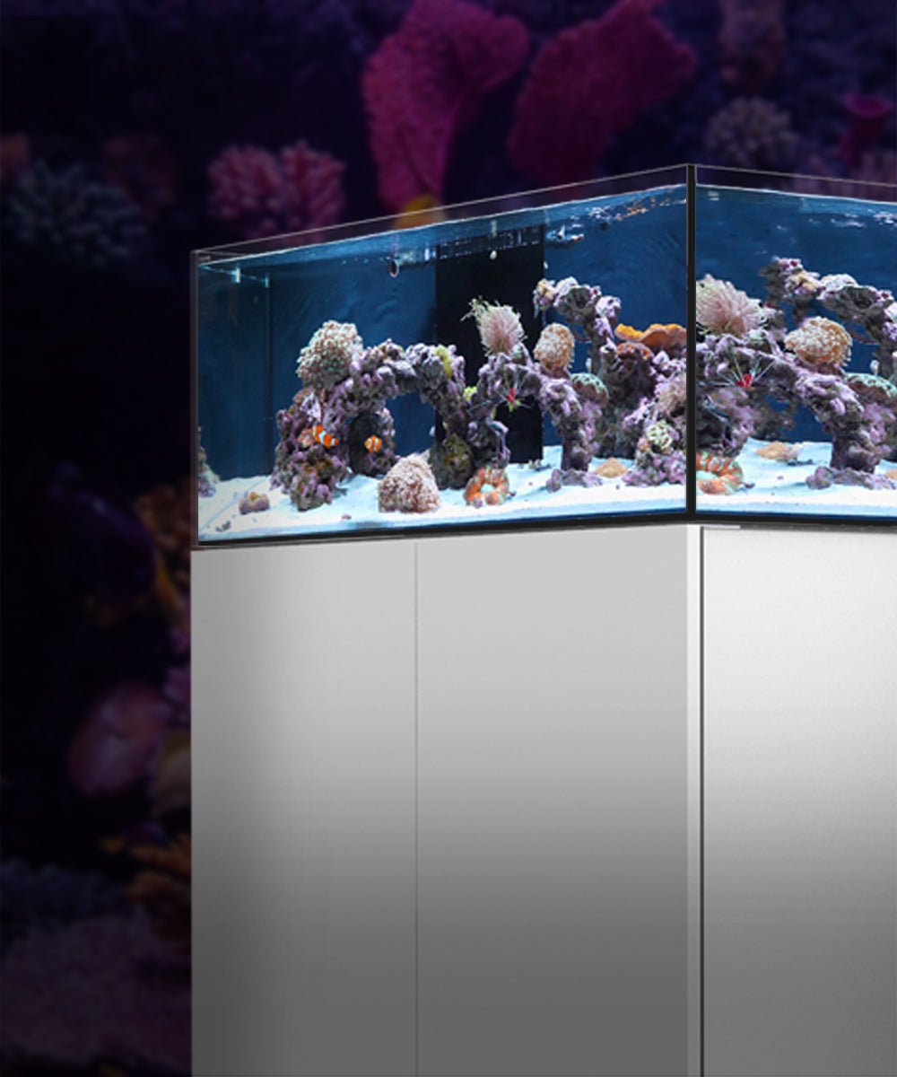 Waterbox Aquariums Australia