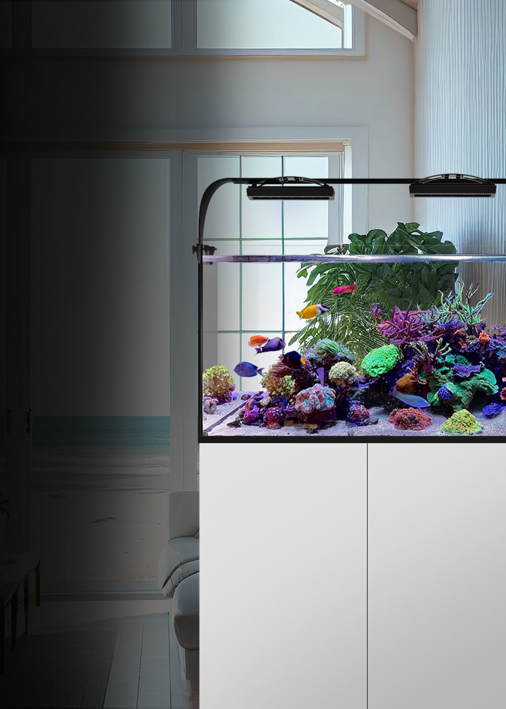 Waterbox Aquariums Australia