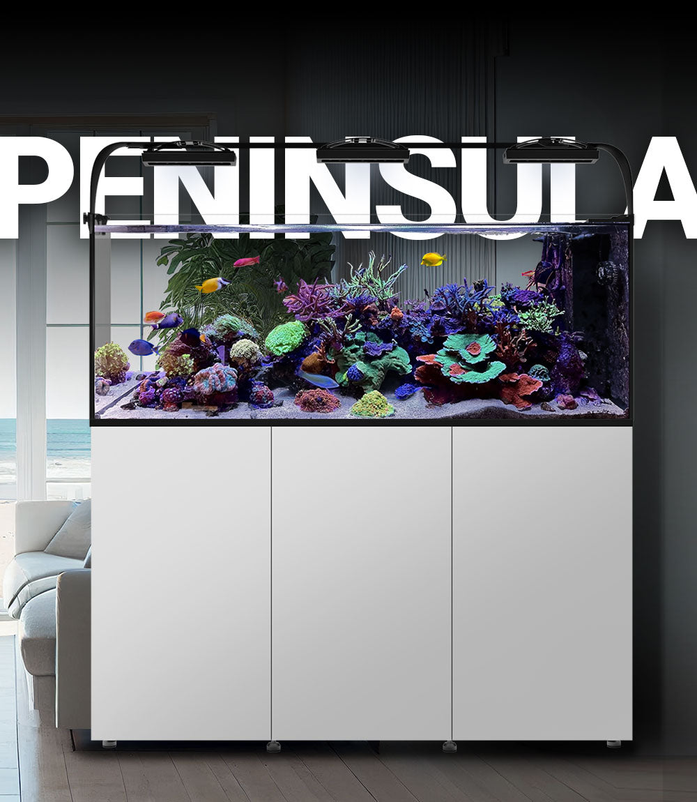 Waterbox Aquariums PENINSULA